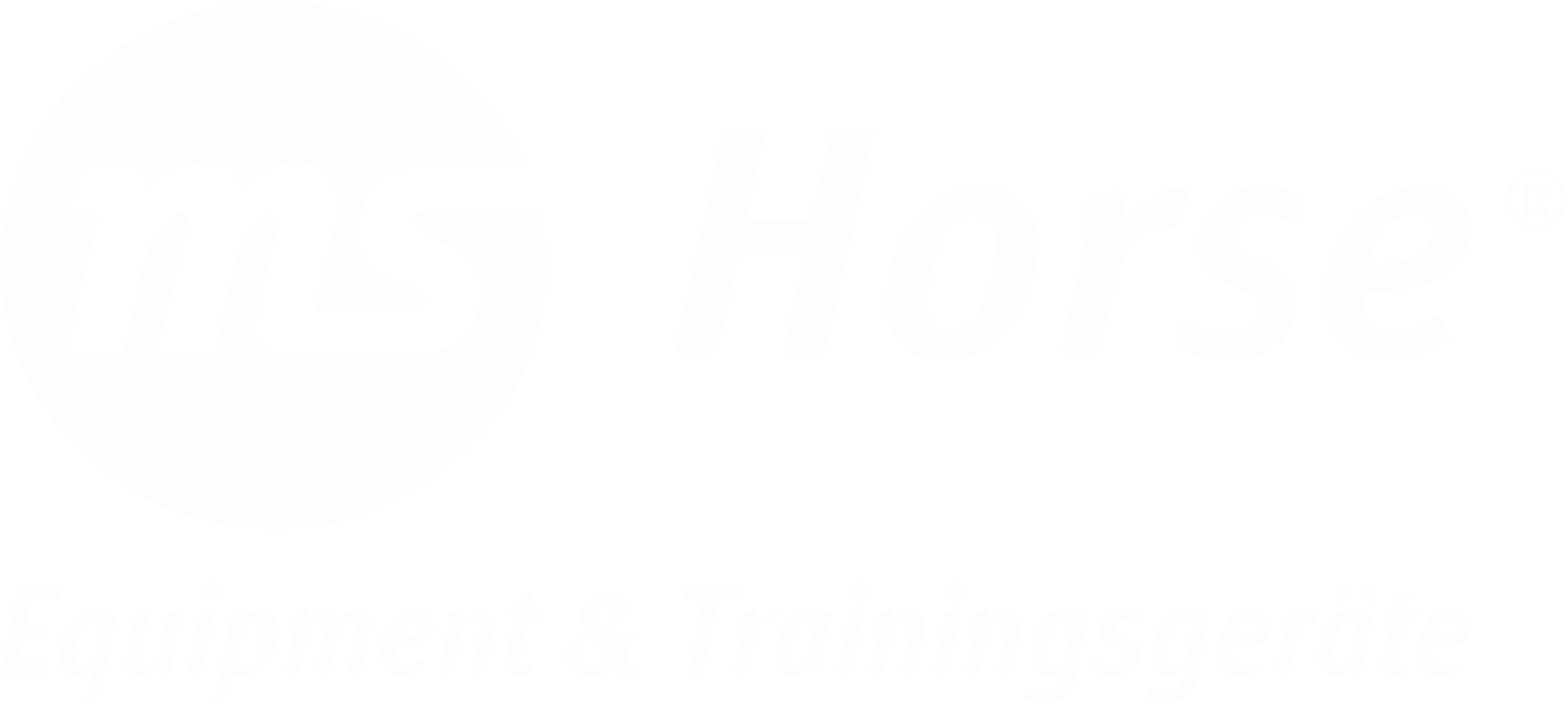 Trainingsplan für Ihr Pferd » Ratgeber | ms Horse®